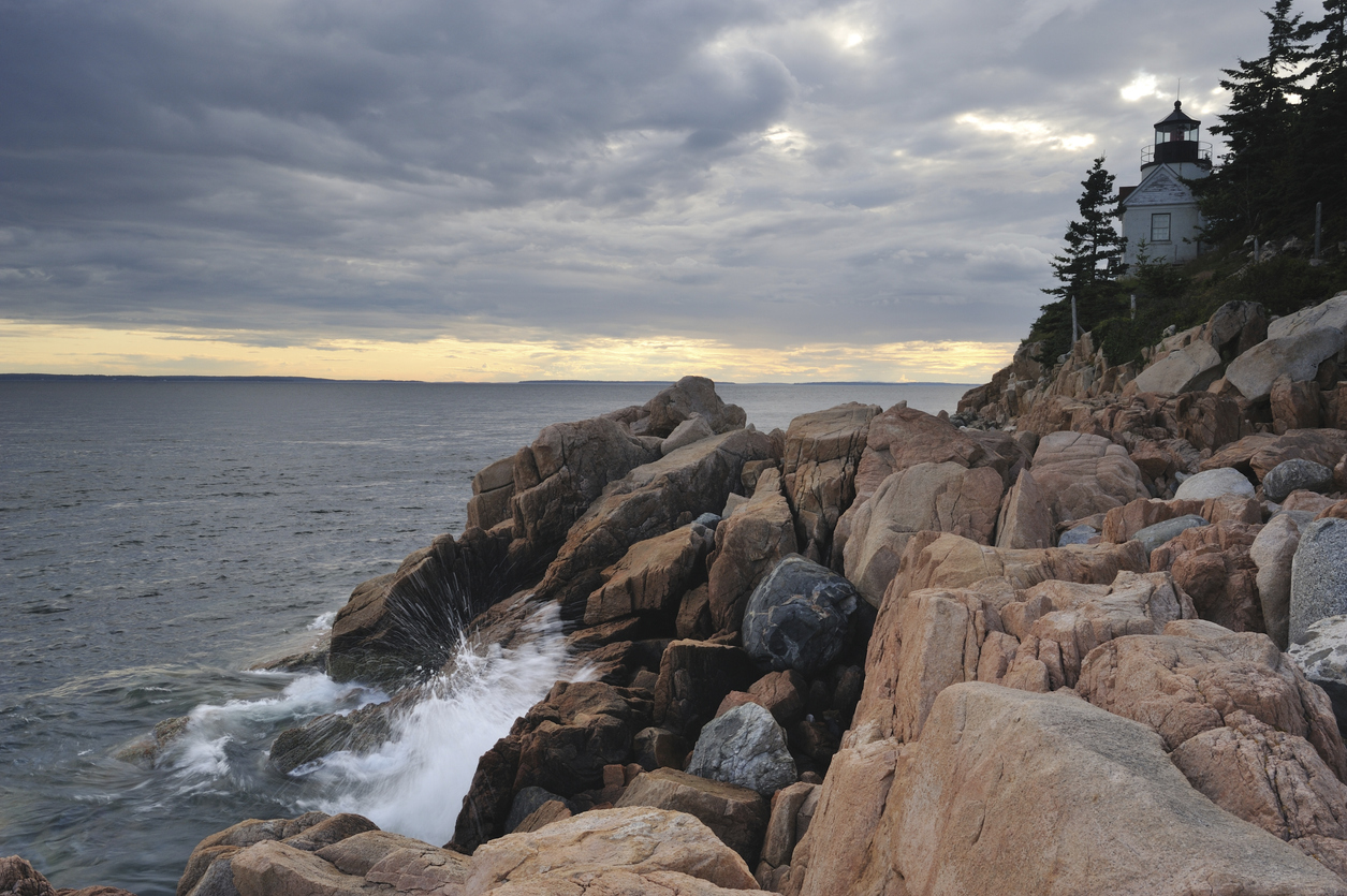 Home - Altus Partners